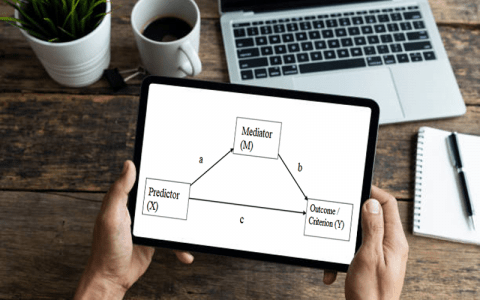 Mediator vs Moderator: Differences, Advantage with Examples