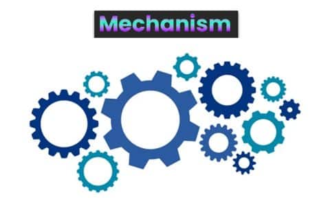 Major Differences Between Temporal vs Spatial Summation