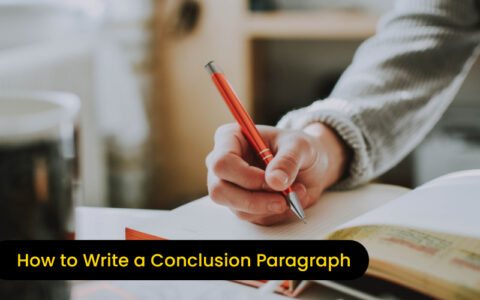 Explore 100+ Conclusion Starters To Impress Readers